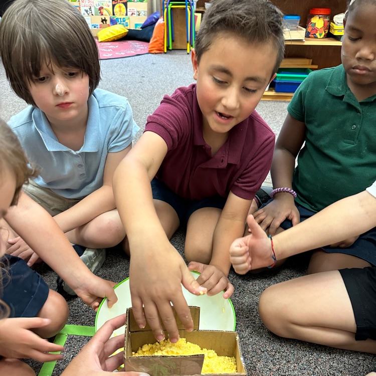 Live Feed | St. Rita School for the Deaf